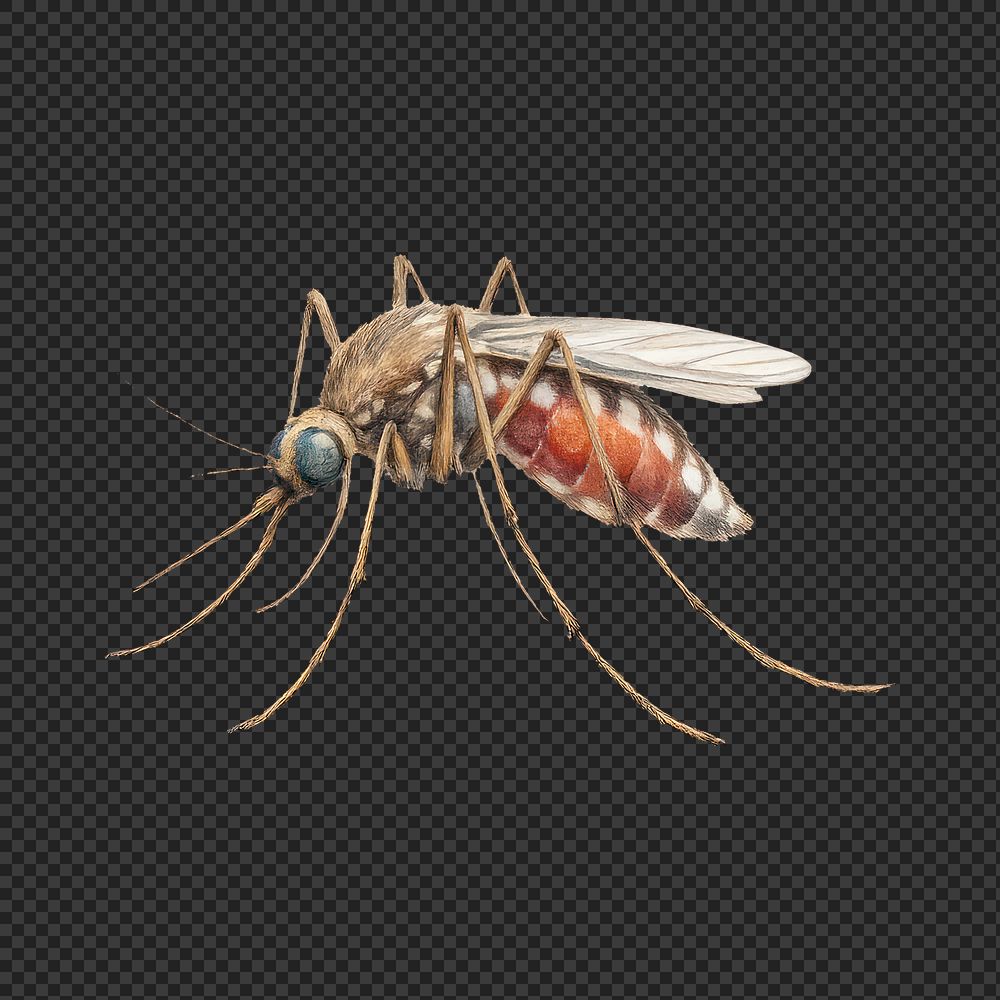 PNG Studying Transparent Texture Study Style Images | Free Photos, PNG ...