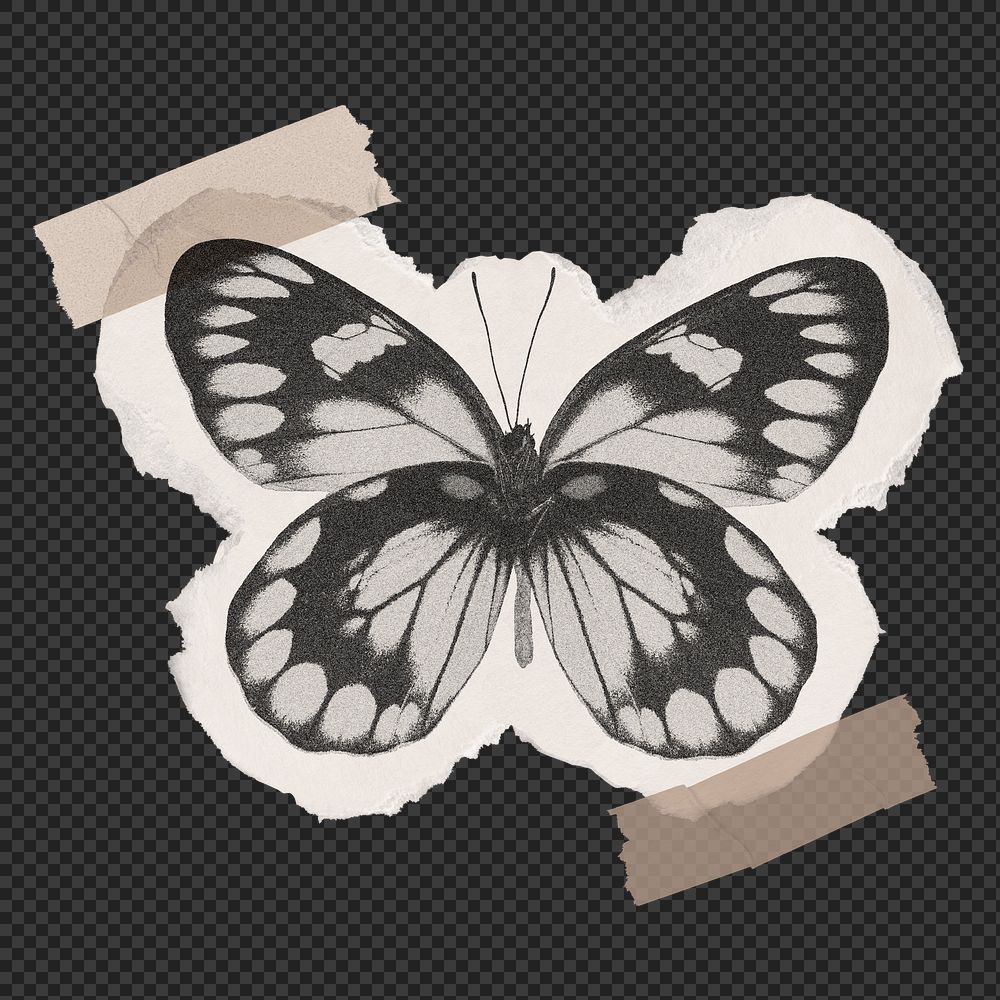 Printable Animal Aesthetic Design PNG High Quality Images | Free Photos ...