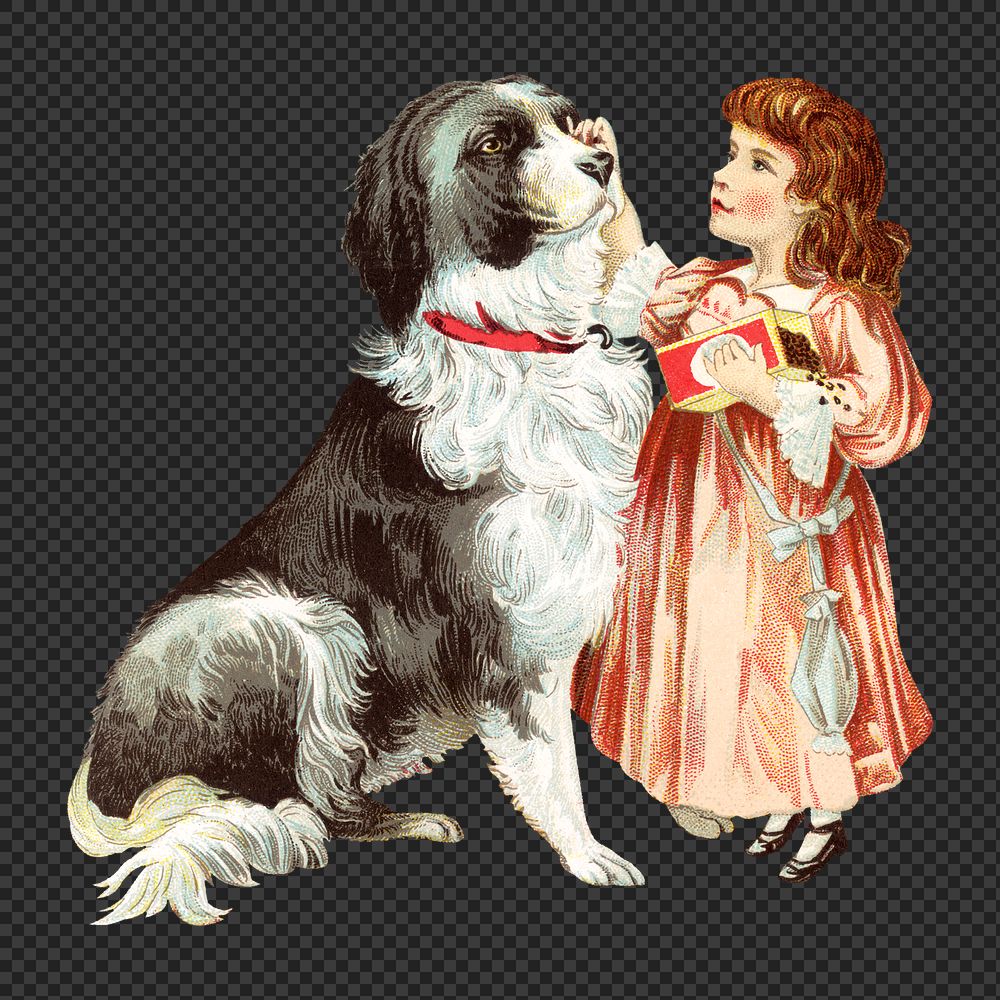 Border+collie+drawing Dog Images | Free Photos, PNG Stickers ...