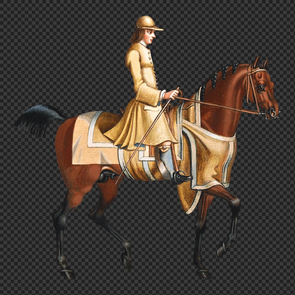 Chestnut Brown Transparent Images | Free Photos, PNG Stickers ...