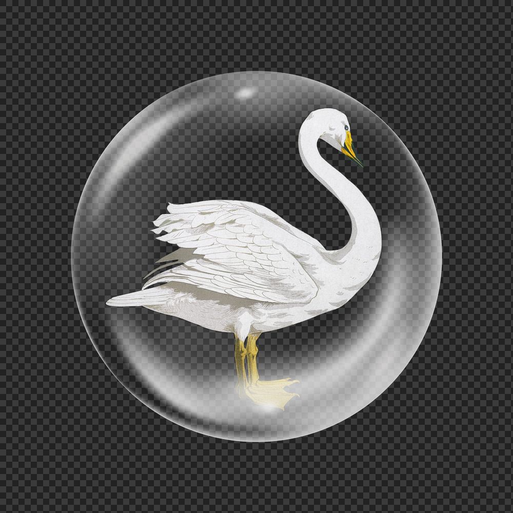 Vintage swan png sticker, bubble | Free PNG - rawpixel