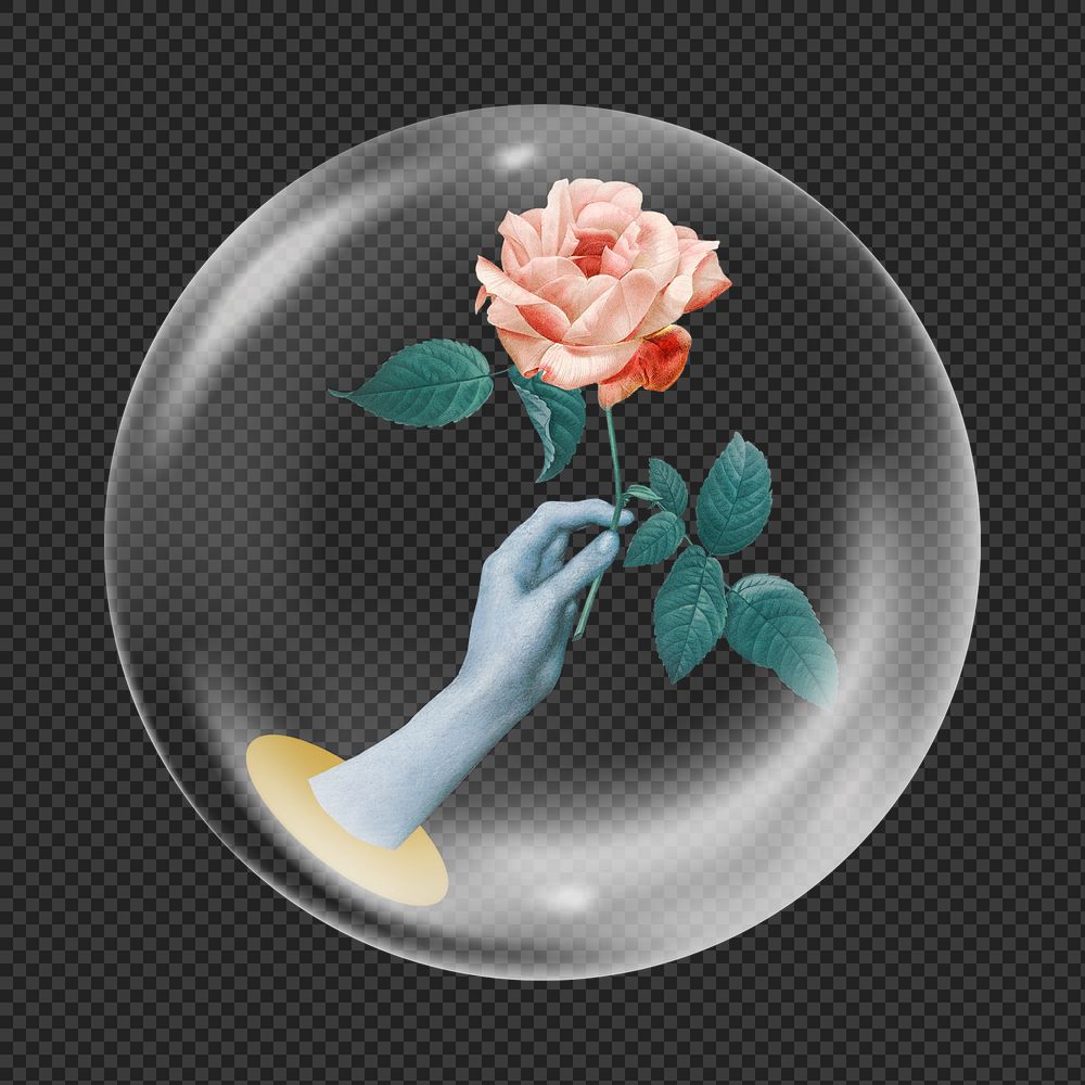 PNG hand holding rose sticker, | Free PNG - rawpixel