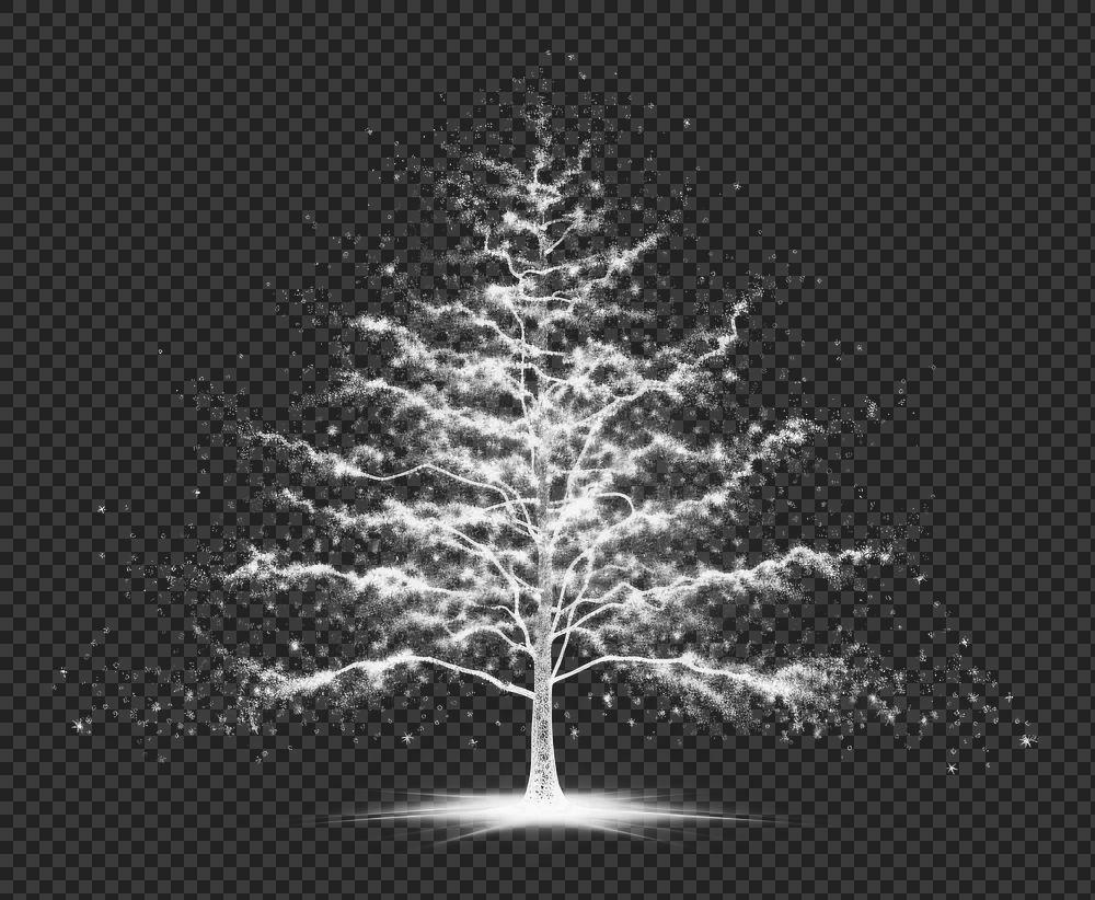 PNG Christmas tree light outdoors | Premium PNG - rawpixel