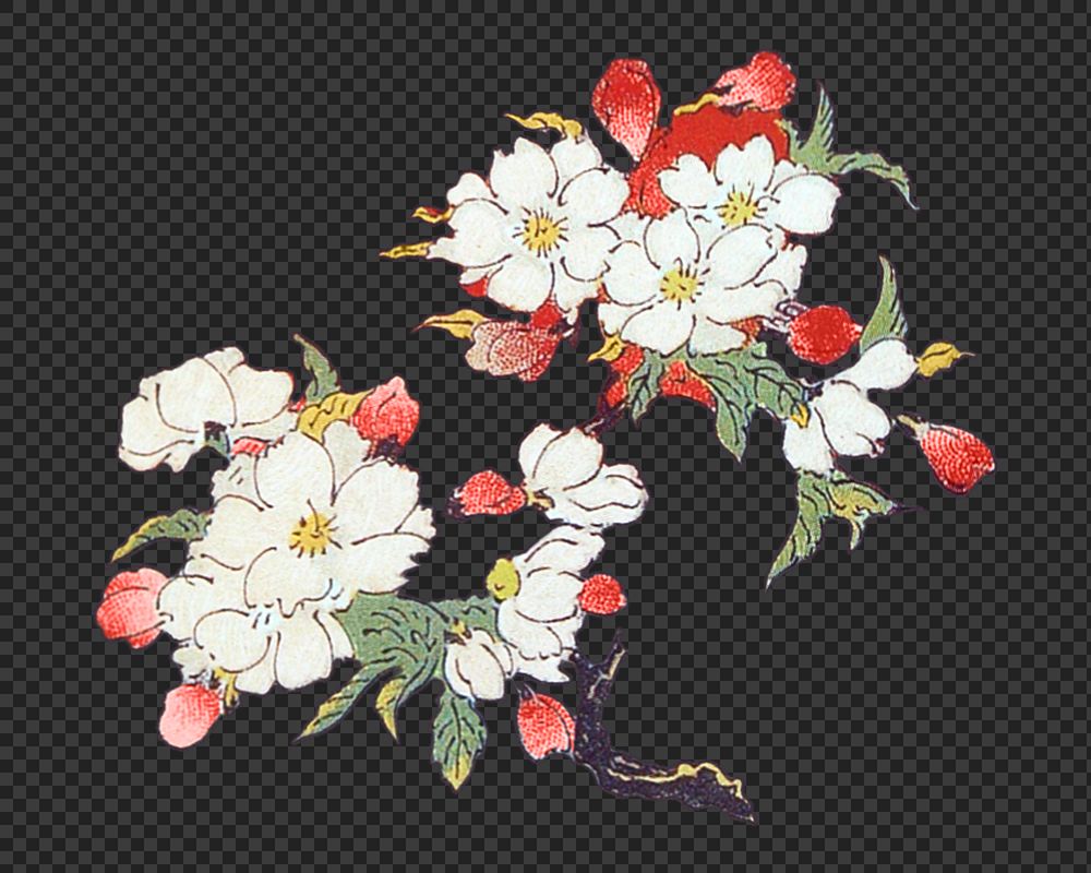 Apple+poster PNG Images | Free Photos, PNG Stickers, Wallpapers ...