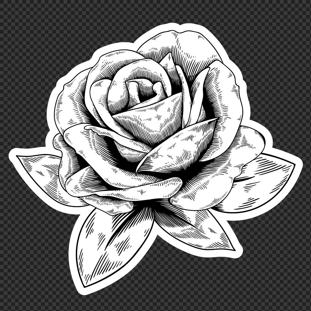 Black and white rose sticker | Free PNG Sticker - rawpixel