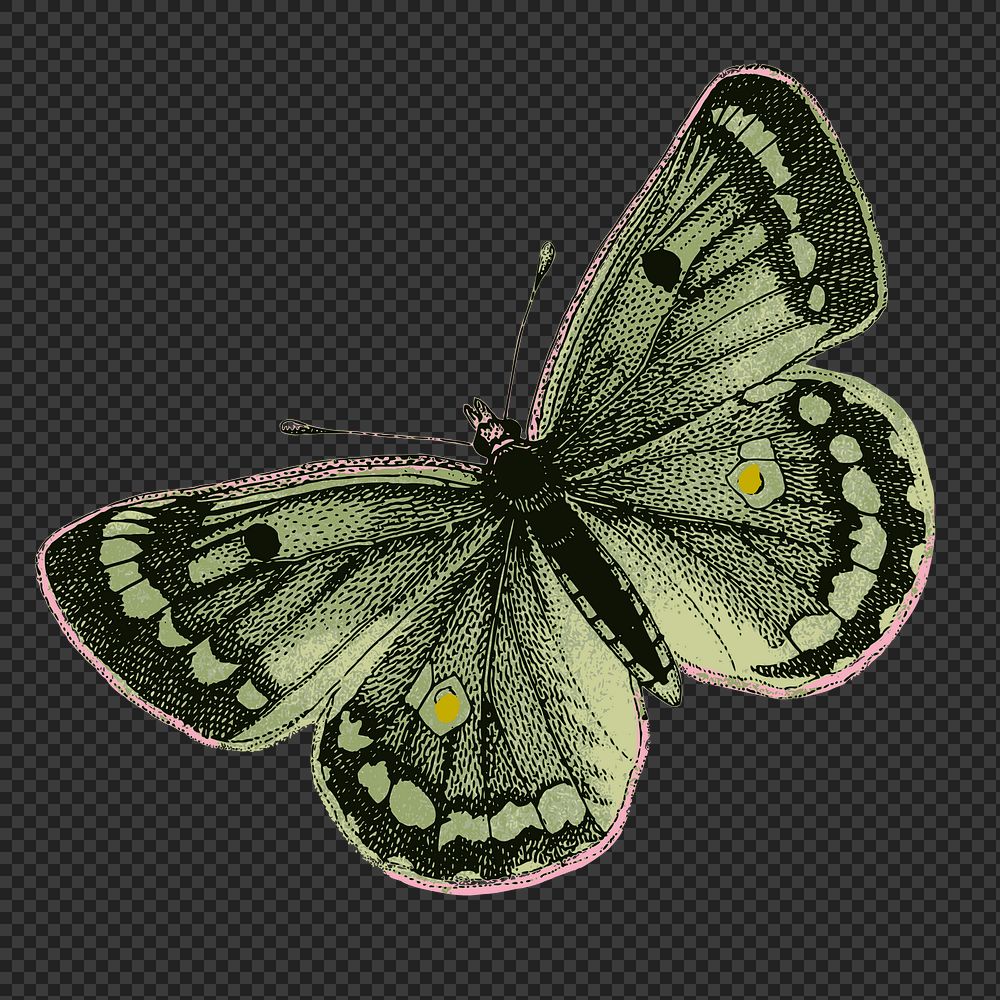 Butterfly png insect sticker, clouded | Free PNG - rawpixel