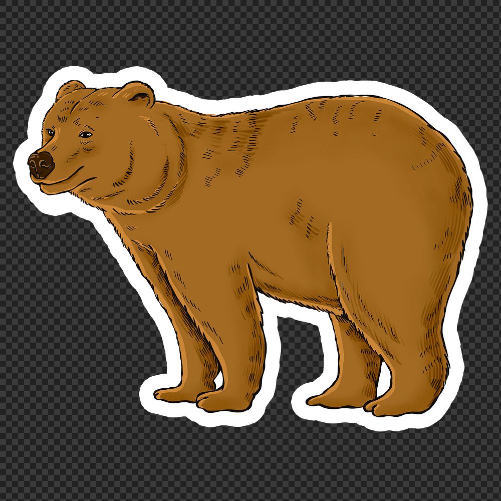 Grizzly bear sticker design element | Free PNG Sticker - rawpixel