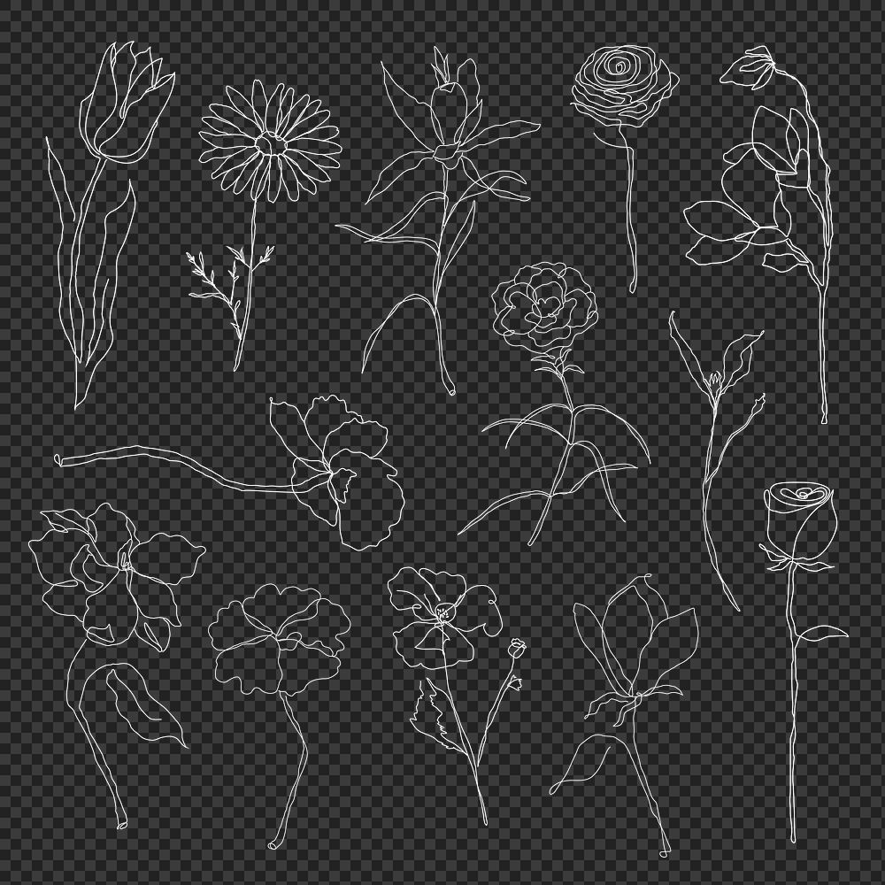 Png flower hand drawn set | Premium PNG - rawpixel