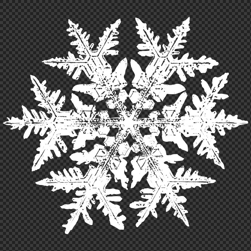 Png realistic snowflakes design element | Free PNG Sticker - rawpixel