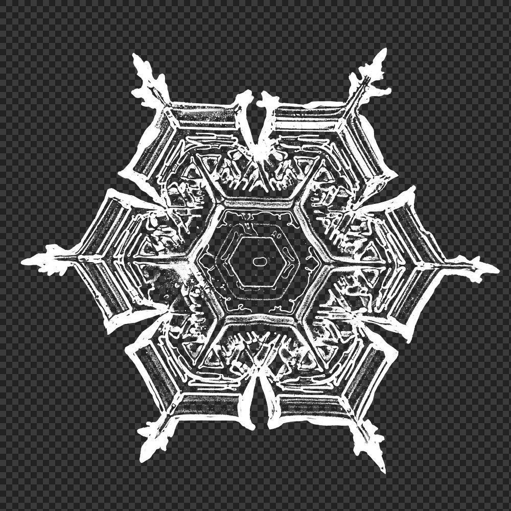 Png realistic snowflakes design element | Premium PNG Sticker - rawpixel