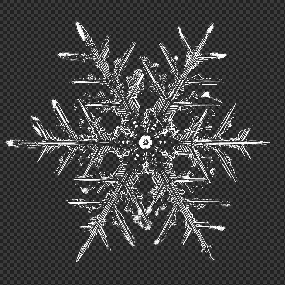 Png realistic snowflakes design element | Free PNG Sticker - rawpixel