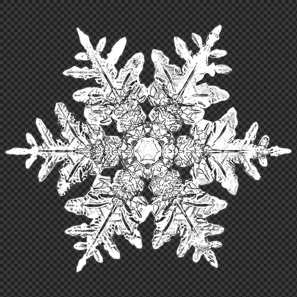 Png realistic snowflakes design element | Free PNG Sticker - rawpixel