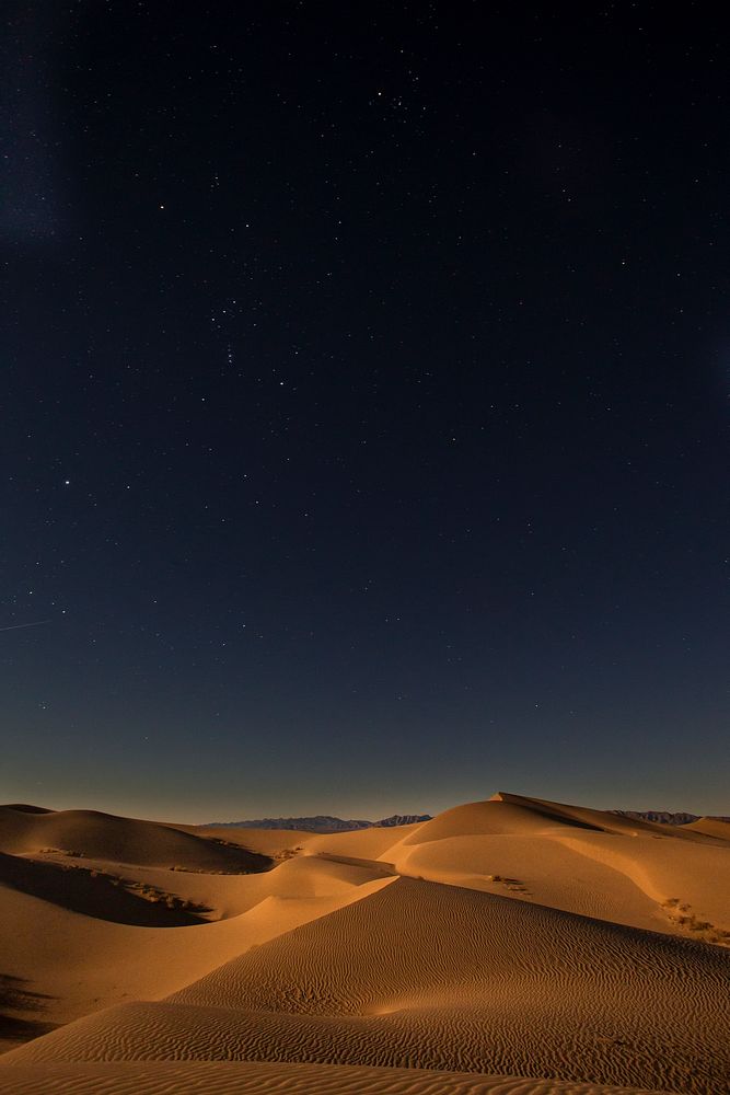 These small dunes were formed | Free Photo - rawpixel