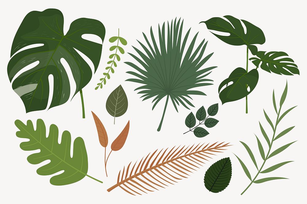Tropical leaf clipart, cute cartoon | Premium PSD - rawpixel