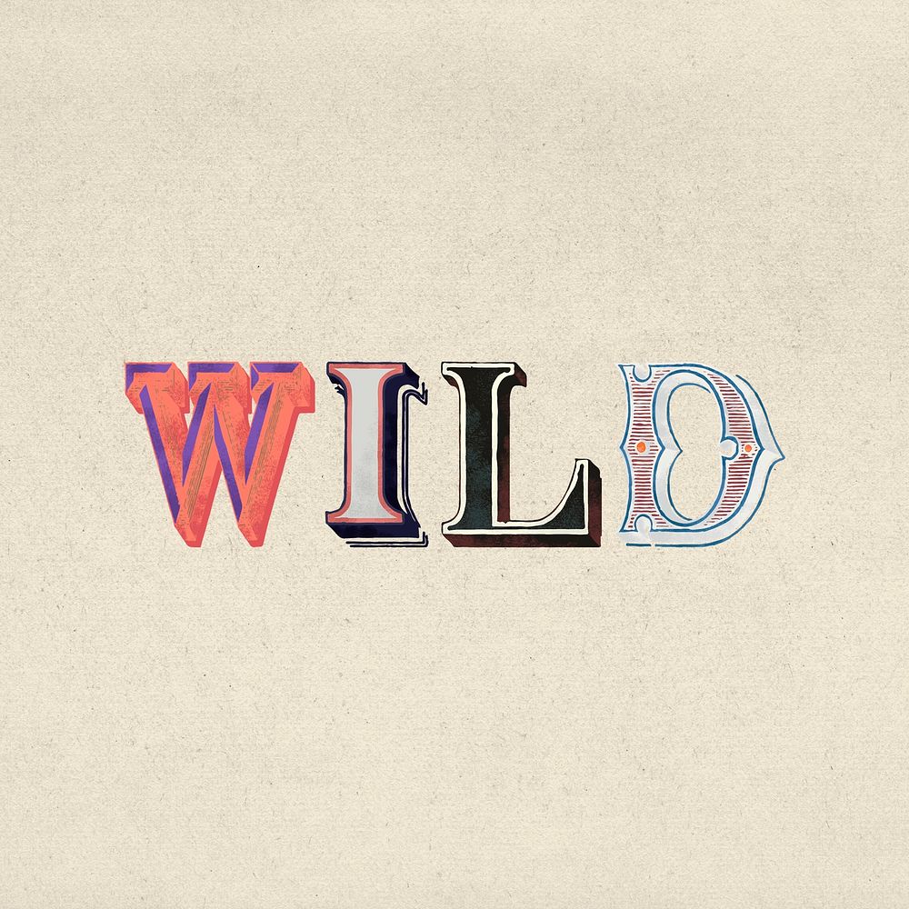 Wild text retro 3d graphic | Free Photo - rawpixel