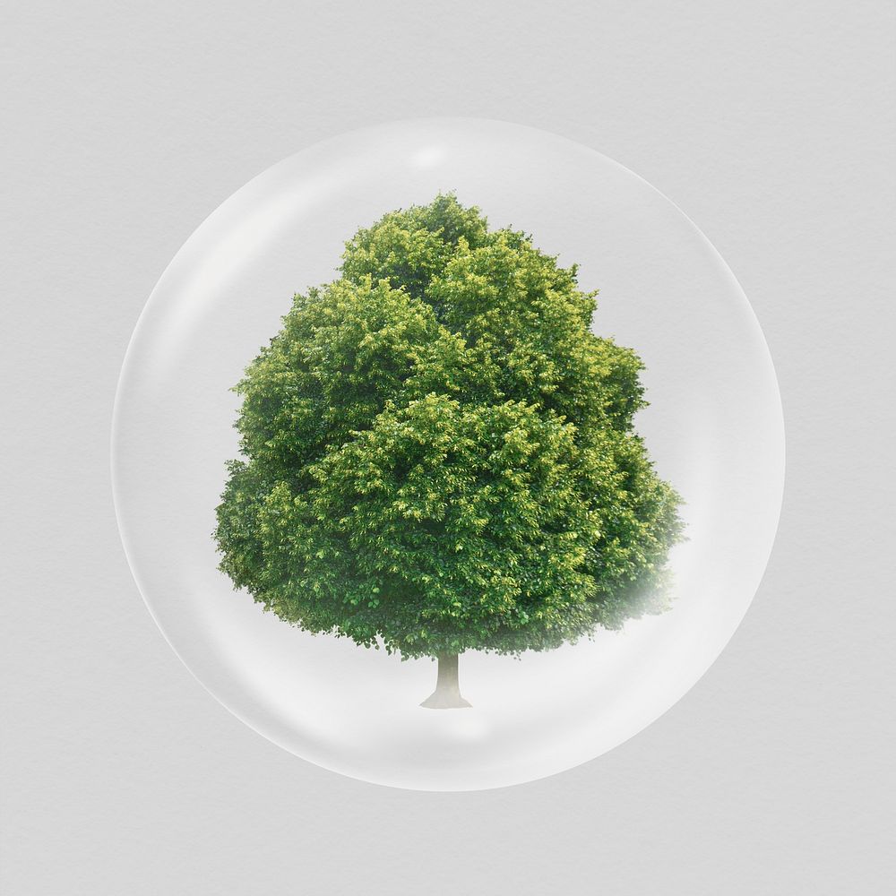 Tree in bubble, nature concept | Free Photo - rawpixel
