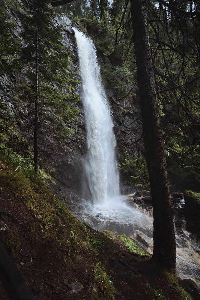 View of Plodda Falls, Scotland | Premium Photo - rawpixel