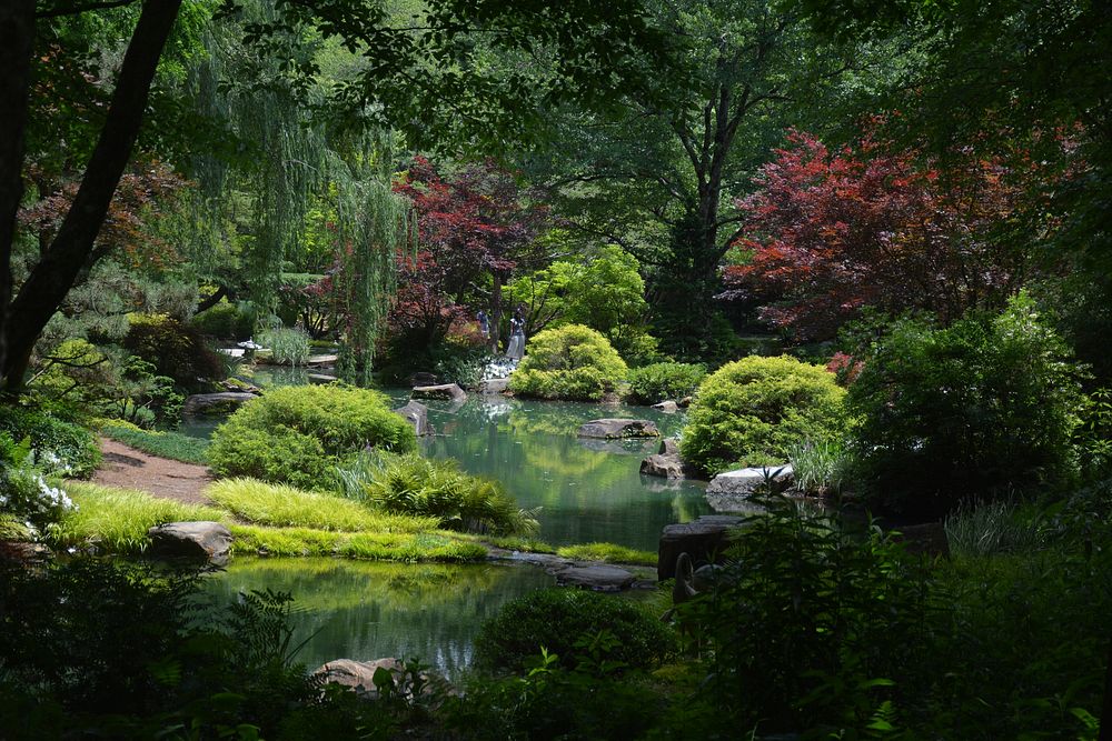 Free green botanical landscape image, | Free Photo - rawpixel