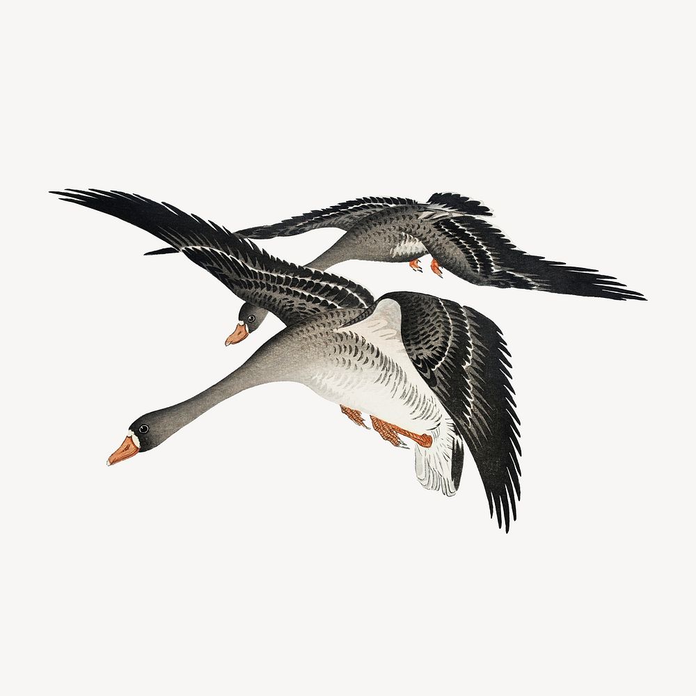 Flying geese collage element, Ohara | Free PSD Illustration - rawpixel