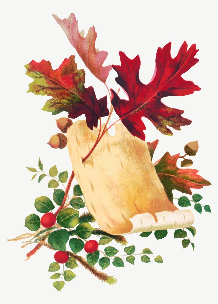 Vintage birch bark strip illustration | Premium Vector Illustration ...