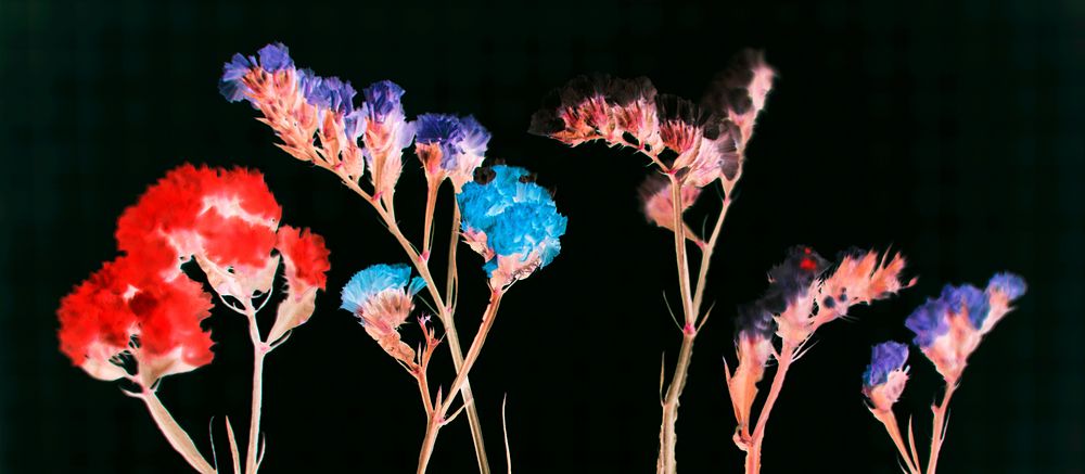 Closeup shot of fresh colorful | Free Photo - rawpixel