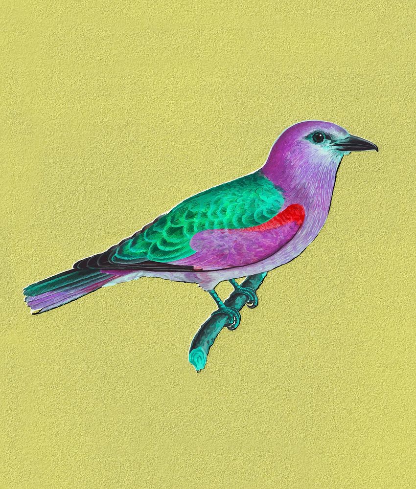 European roller bird vintage vector, | Premium Vector Illustration ...