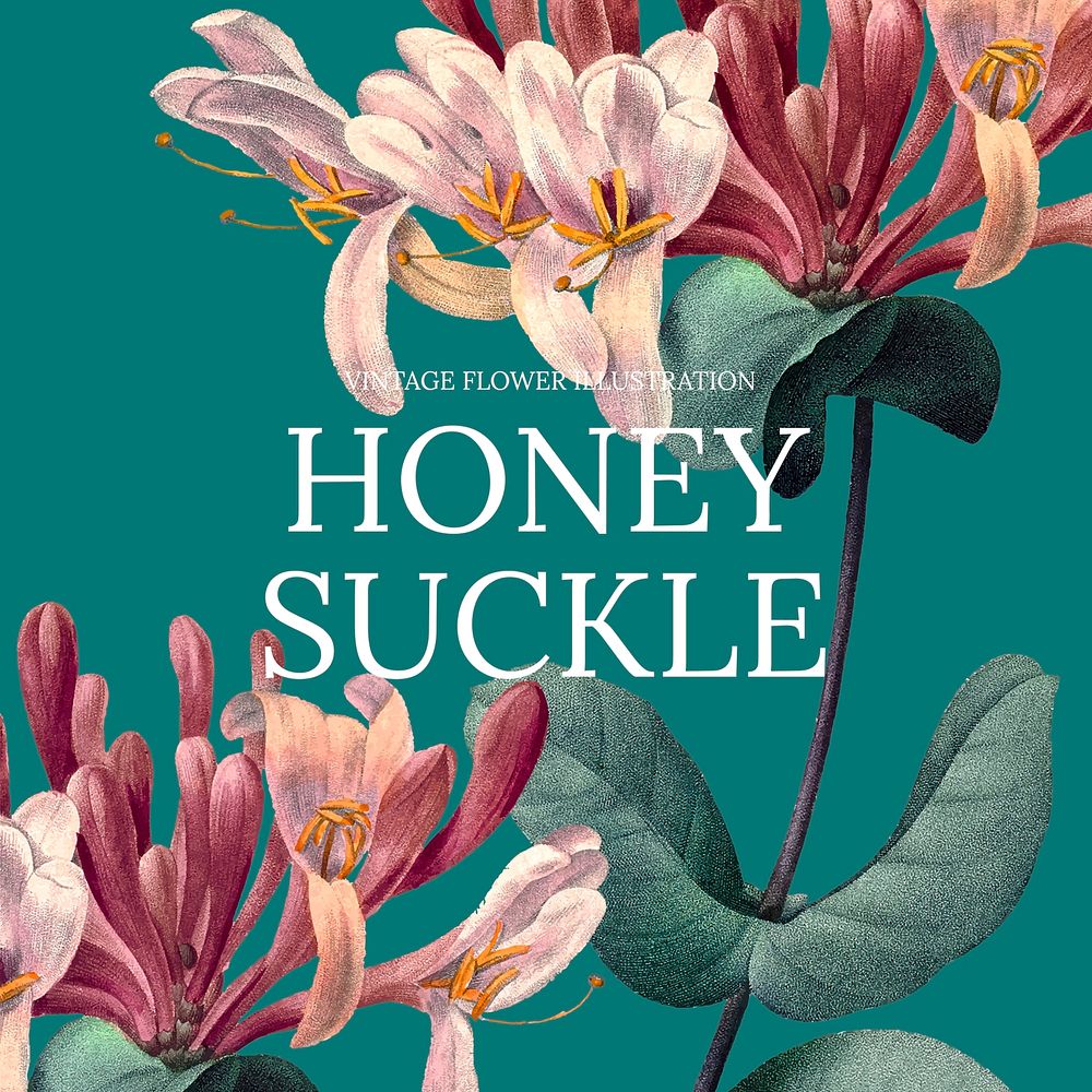 Floral template vector with honeysuckle | Premium Vector Template ...