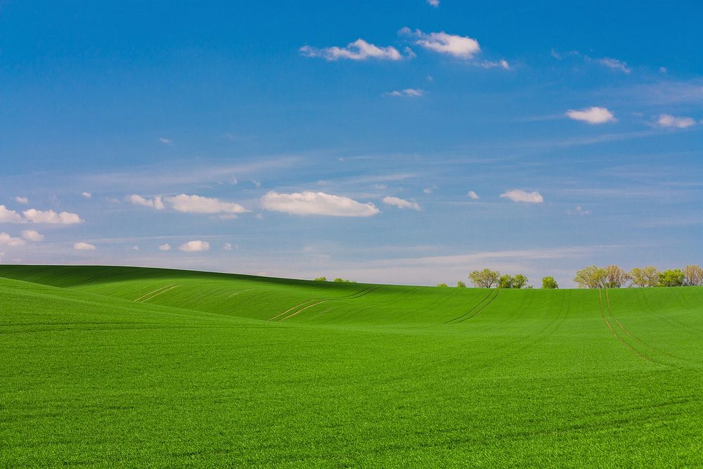 Green grass field. Original public | Free Photo - rawpixel