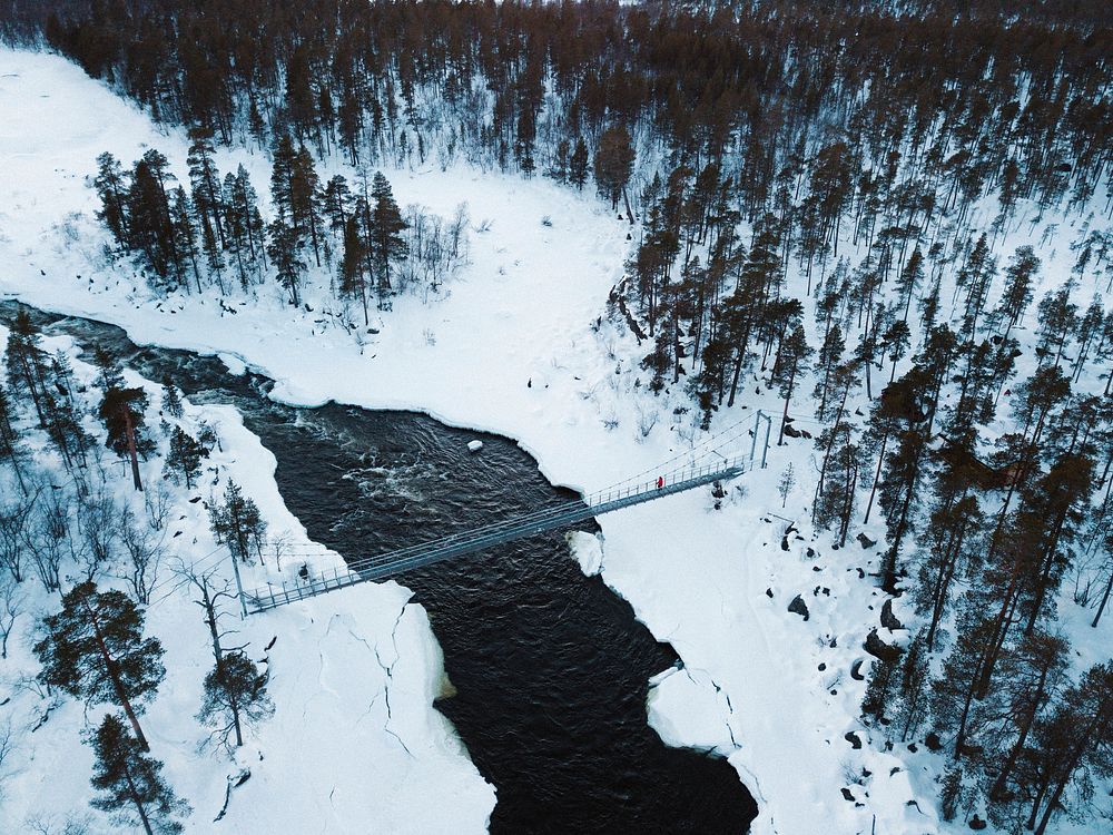 Bridge across melting ice flowing | Free Photo - rawpixel
