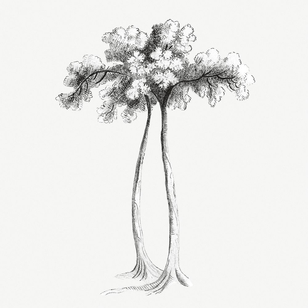 A tall tree vintage illustration | Premium PSD Illustration - rawpixel