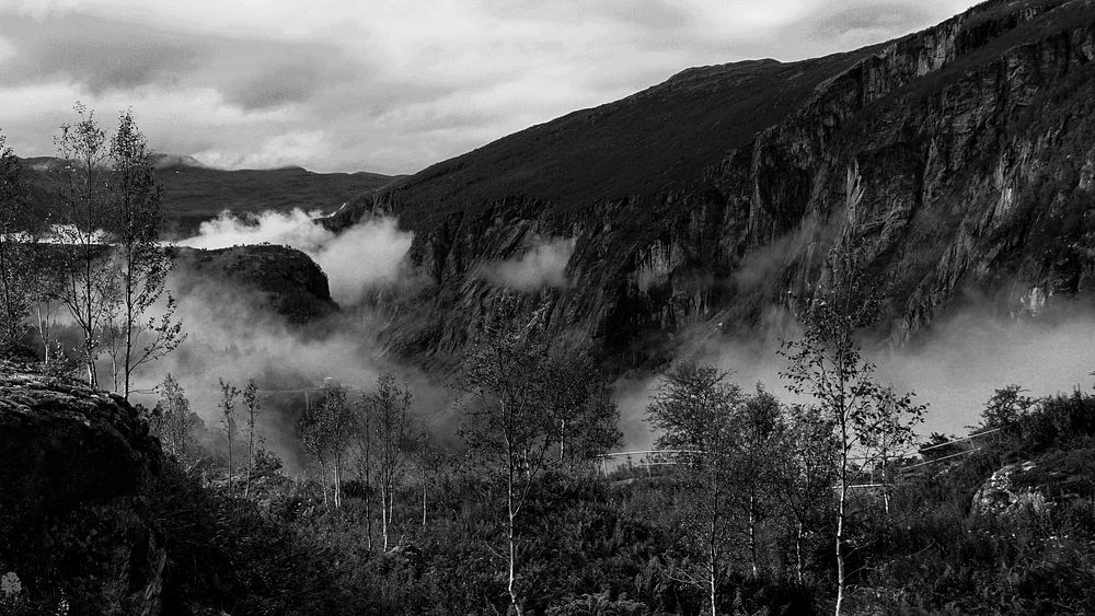 View of forest at Odda, | Free Photo - rawpixel