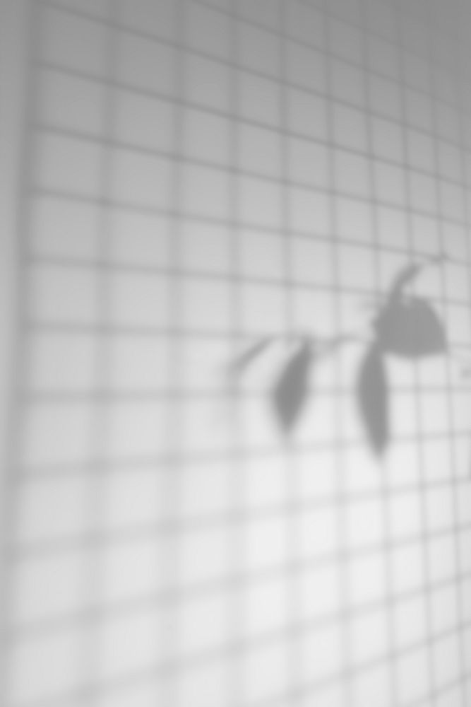 Grid line shadow design element | Premium PSD - rawpixel