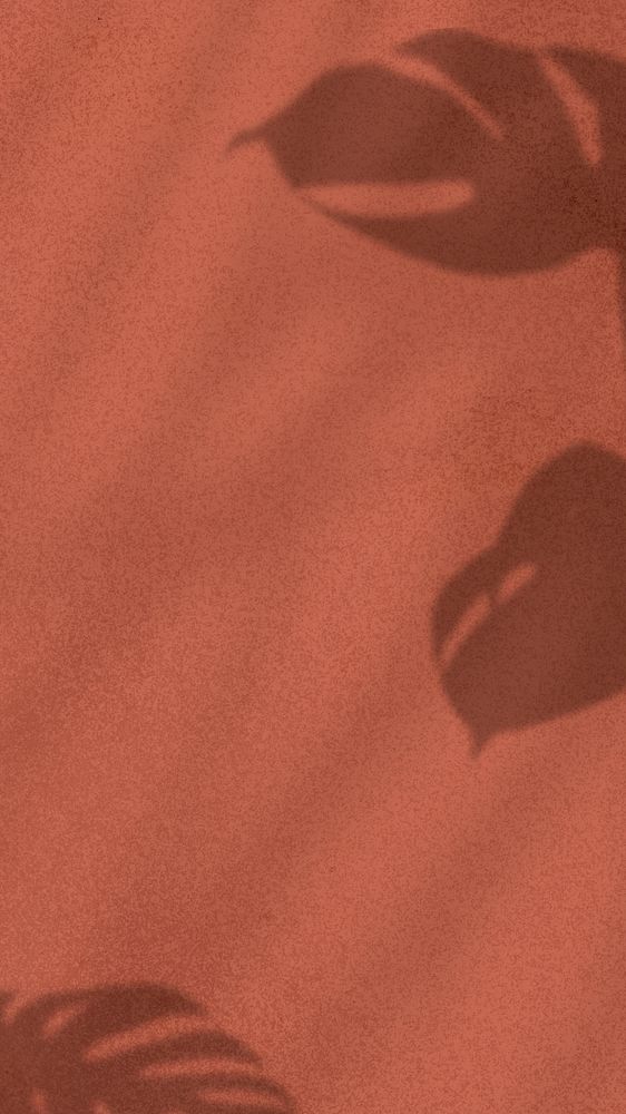 Monstera leaves shadow on brown | Free Photo - rawpixel
