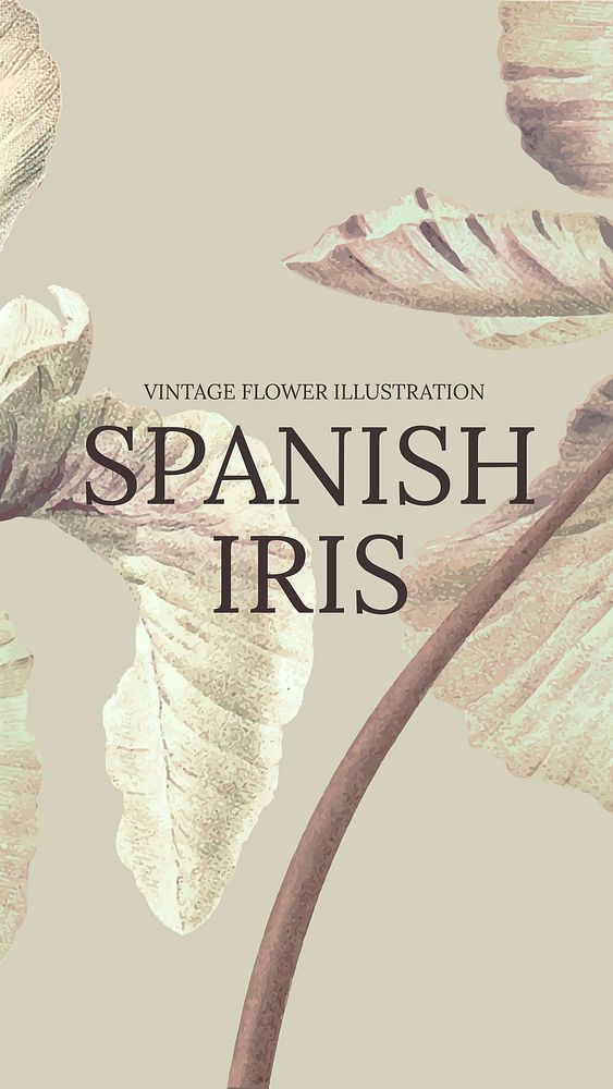Floral template vector with spanish | Free Vector Template - rawpixel