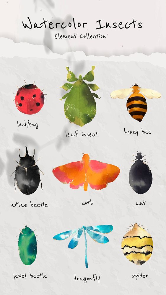 Cute watercolor insects collection mobile | Premium Vector - rawpixel