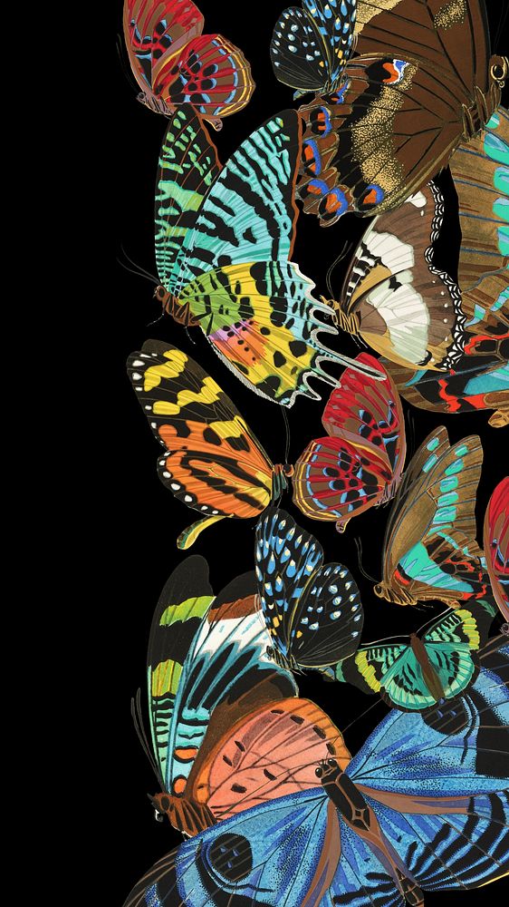 E.A. Séguy's butterflies iPhone wallpaper, | Premium Photo - rawpixel