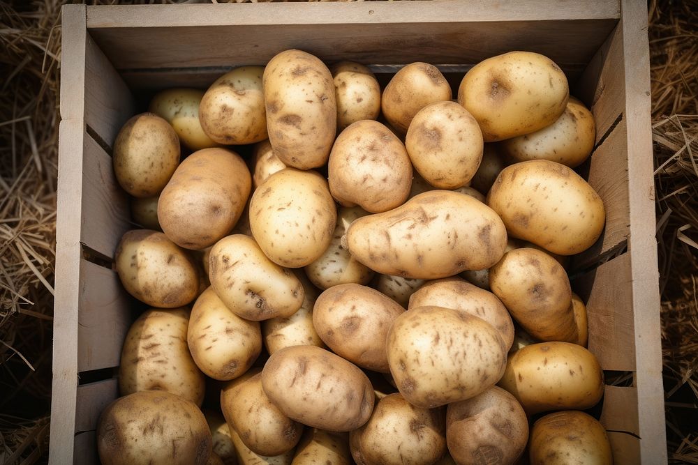 Box vegetable potato plant. AI | Free Photo - rawpixel
