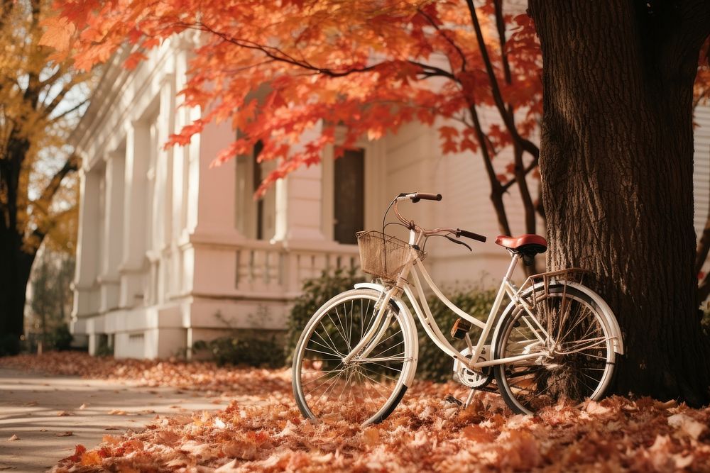 Bicycle autumn vehicle plant. AI | Free Photo - rawpixel