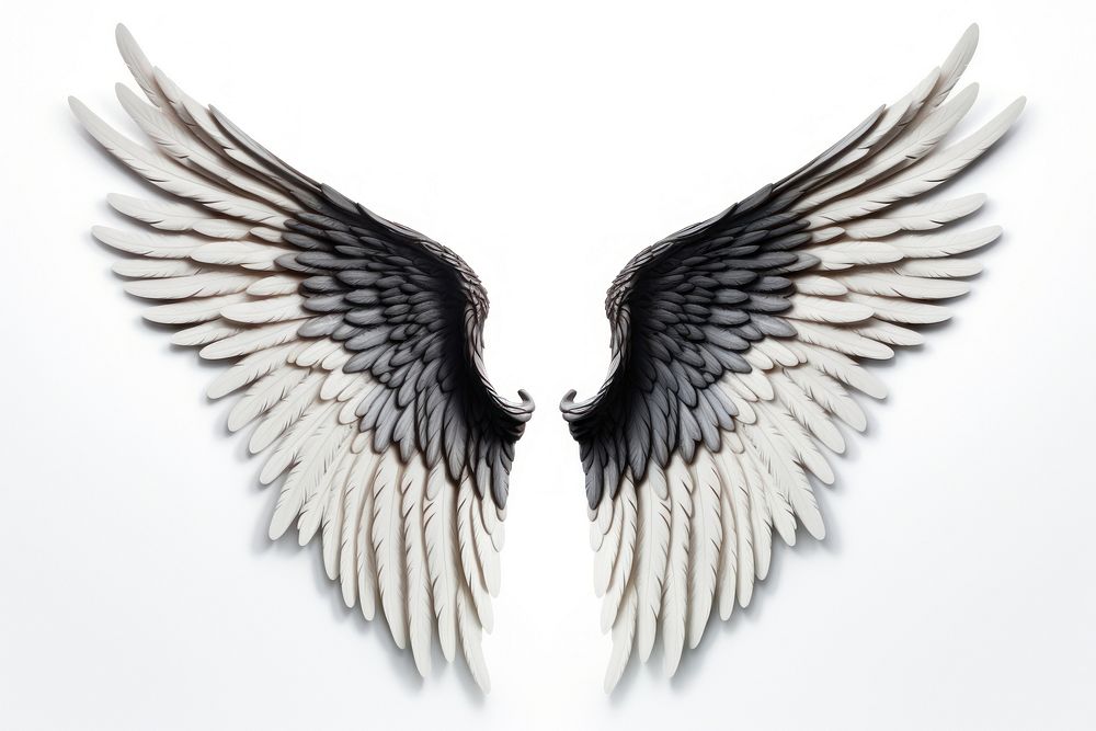 Flying white bird wing. AI | Free Photo - rawpixel