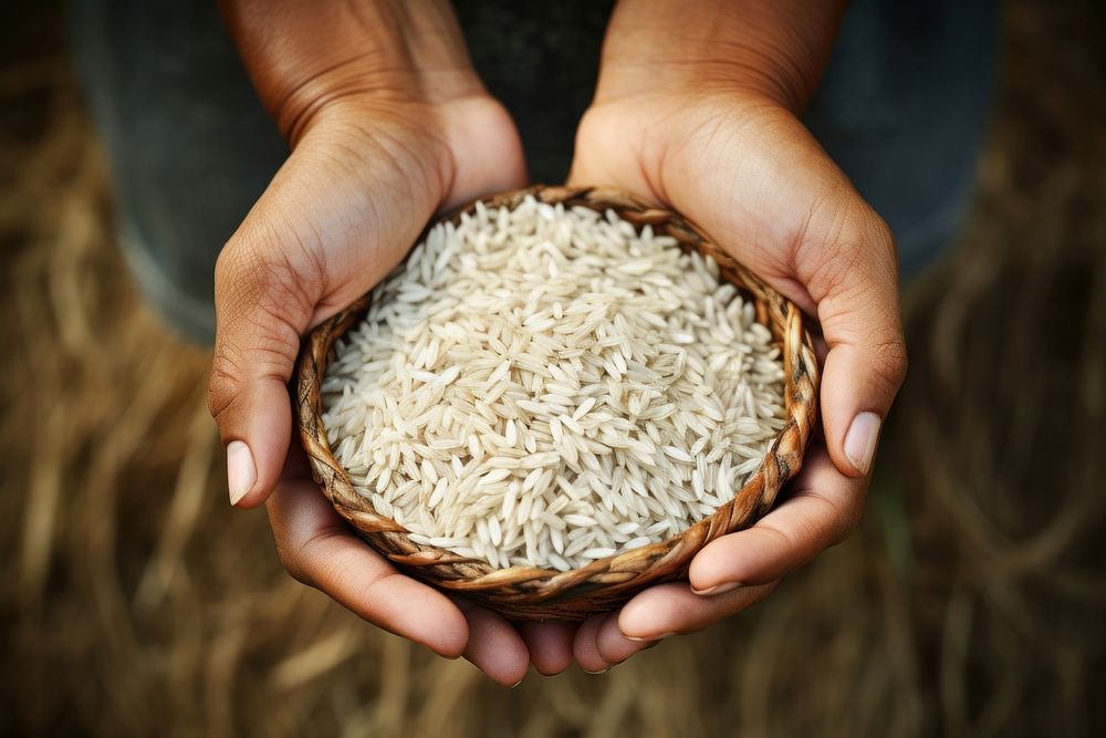 Rice holding food hand. AI | Free Photo - rawpixel
