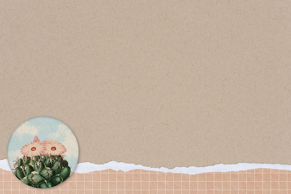 Beige ripped paper, cactus background | Premium Photo - rawpixel