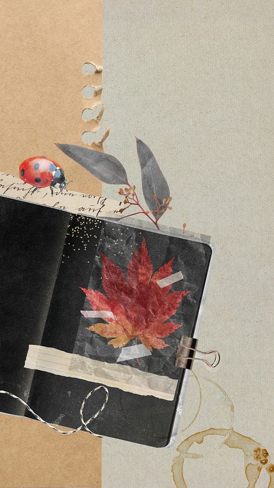 Autumn maple leaf iPhone wallpaper | Premium Photo - rawpixel