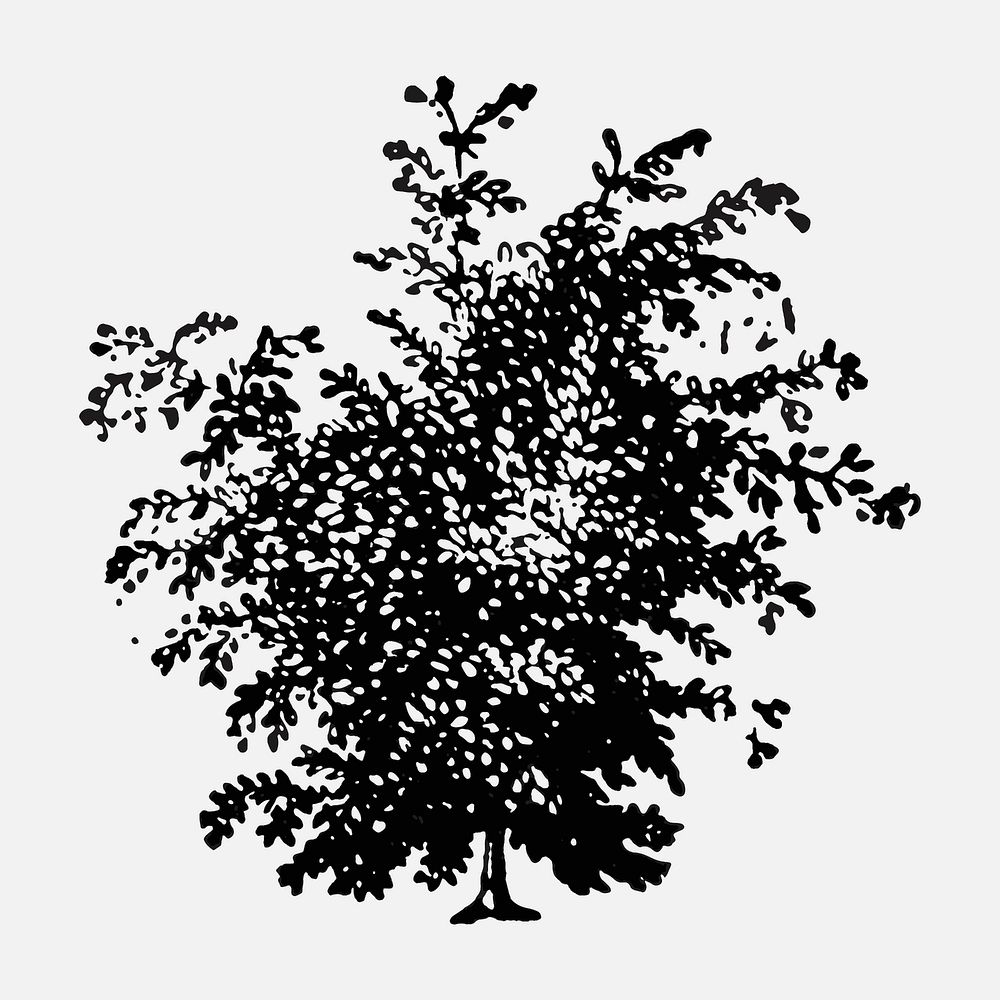 Tree sticker, hand drawing vector, | Premium Vector Illustration - rawpixel