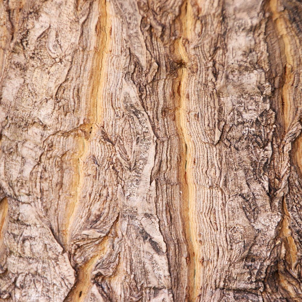 Rough wood texture background, close | Free Photo - rawpixel