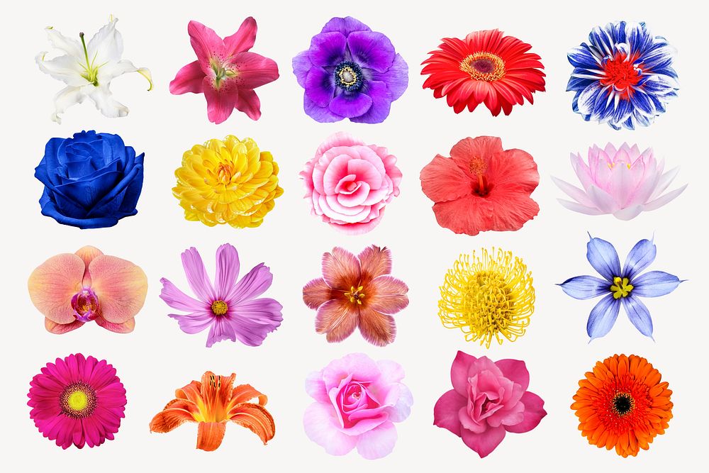 Colorful flower clipart psd set | PSD - rawpixel