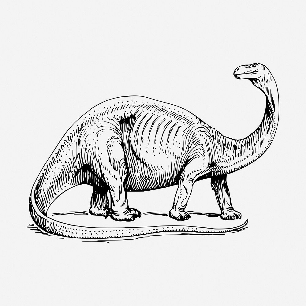 Long neck dinosaur drawing, vintage | Free Photo - rawpixel