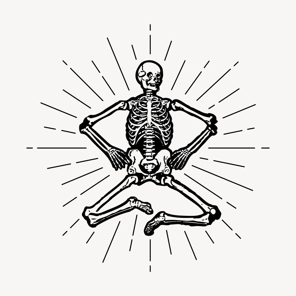 Human skeleton drawing, vintage anatomy | Premium Photo Illustration ...