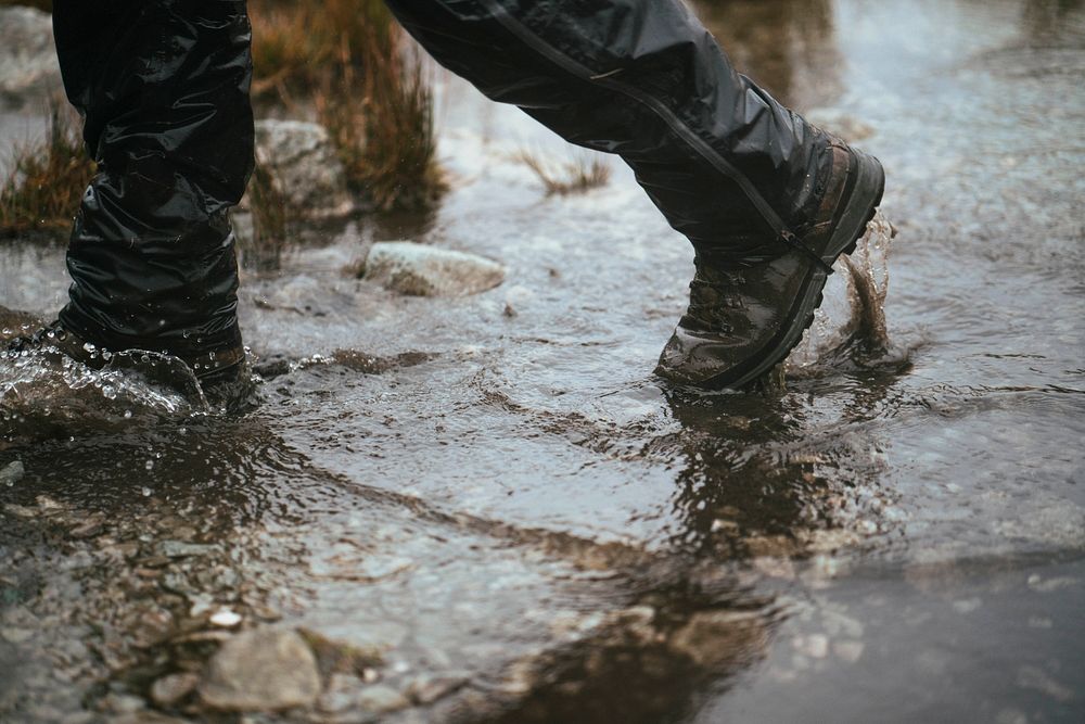 Walking in the water | Premium Photo - rawpixel