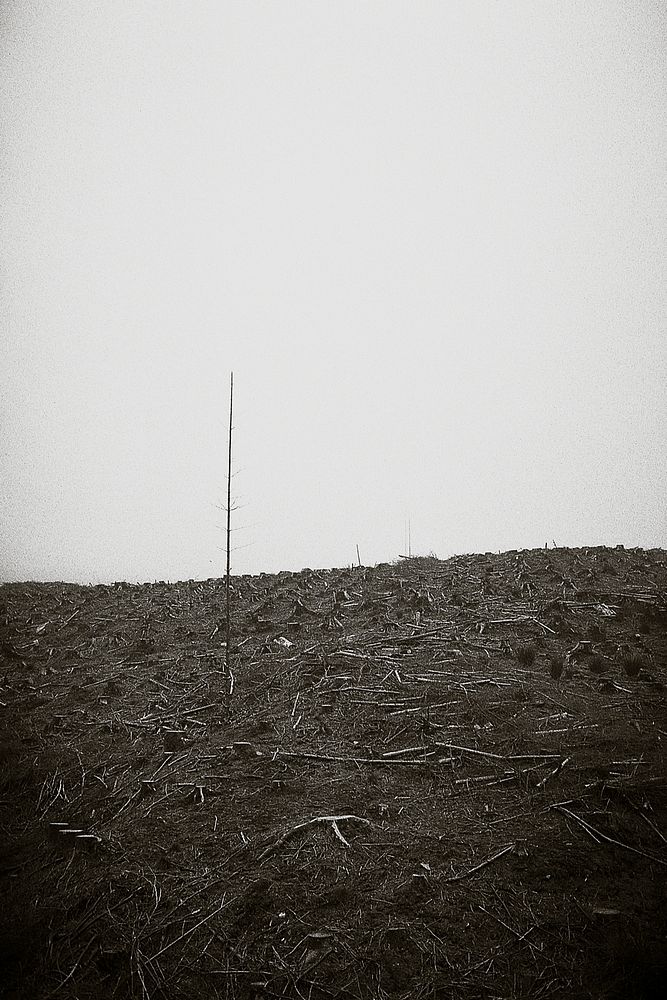 Barren field landscape in black | Premium Photo - rawpixel