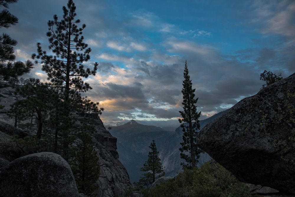 View of woodlands at sunset | Free Photo - rawpixel